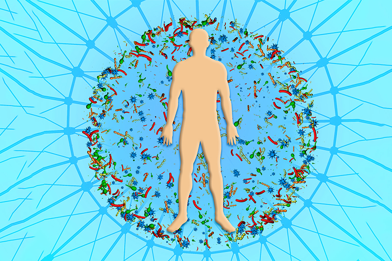 Ролята на микробиотата за човешкото здраве | h-biota.com